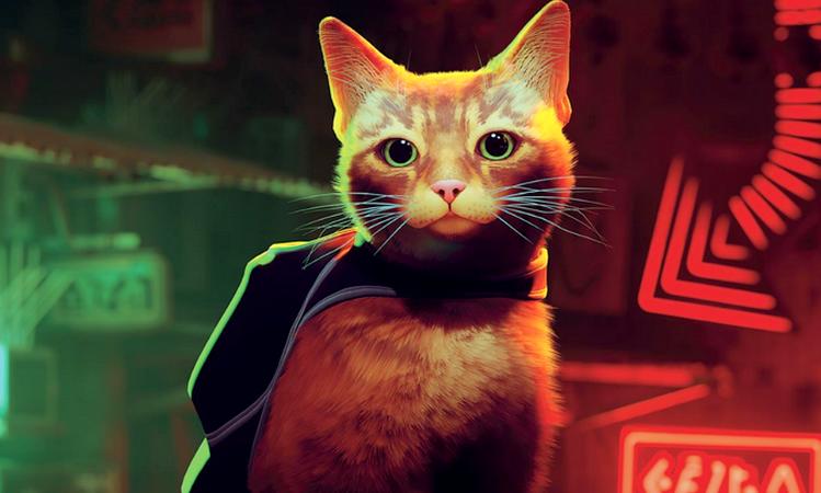 Stray: Box-Version für PlayStation 4 vorbestellen