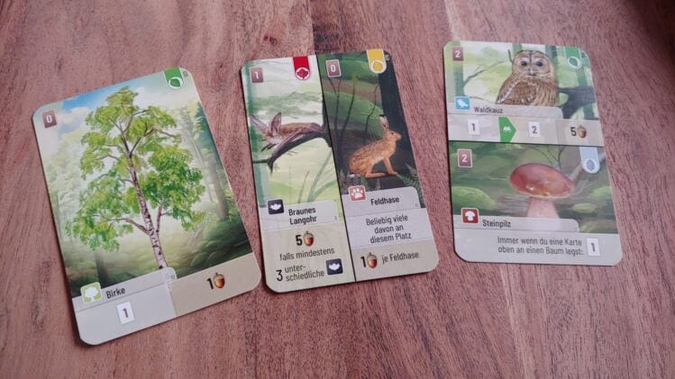 Brettspiel-Rezension zu Mischwald: Der Winter naht - bedrohlich schnell!